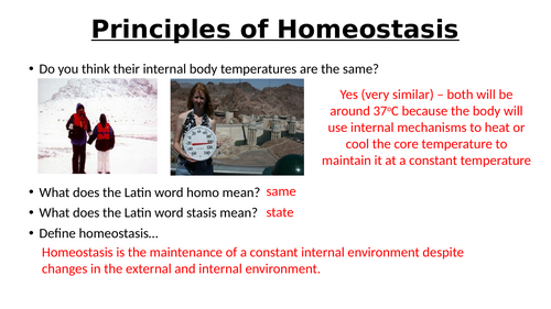 A-Level AQA Biology - Principles of Homeostasis | Teaching Resources