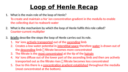 A-Level AQA Biology - Homeostasis + Kidney Bundle | Teaching Resources