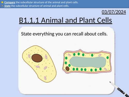 GCSE Biology: Animal and Plant Cells | Teaching Resources