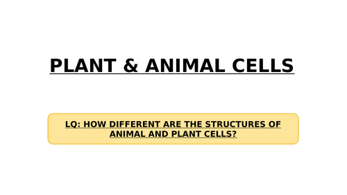 **iGCSE Biology Edexcel - PLANT & ANIMAL CELLS** | Teaching Resources