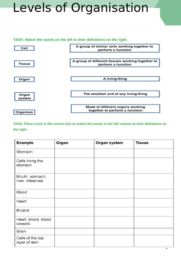 ** iGCSE Biology - Edexcel - LEVELS OF ORGANISATION** | Teaching Resources