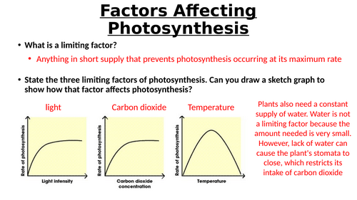 A-Level AQA Biology - Photosynthesis Bundle | Teaching Resources