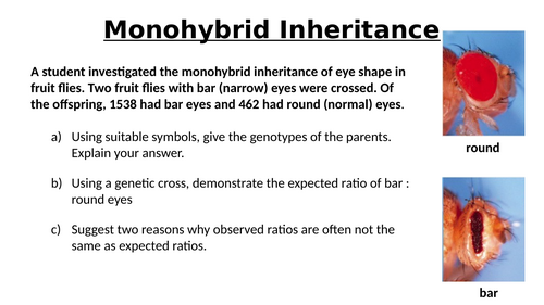A-Level AQA Biology - Inheritance Bundle | Teaching Resources A-Level AQA Biology - Inheritance Bundle | Teaching Resources