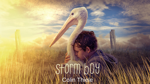 Storm Boy - Novel Study | Teaching Resources