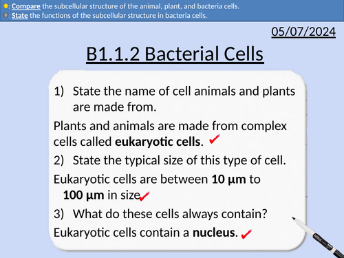 GCSE OCR Biology: B1.1 Cell Structures | Teaching Resources
