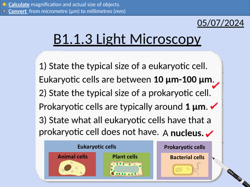 GCSE OCR Biology: B1.1 Cell Structures | Teaching Resources