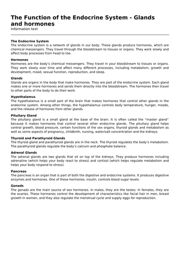 The Function of the Endocrine System - Glands and hormones | Teaching ...