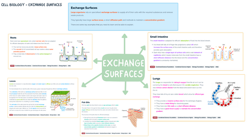 GCSE Biology (AQA) - Cell Biology Notes | Teaching Resources