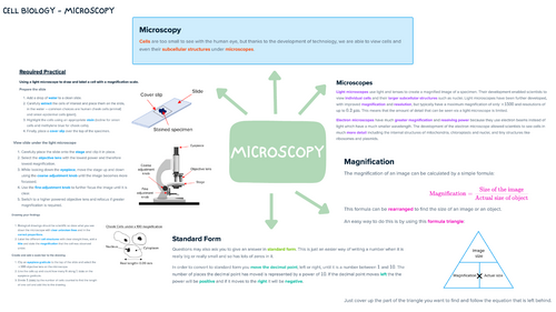 GCSE Biology (AQA) - Cell Biology Notes | Teaching Resources