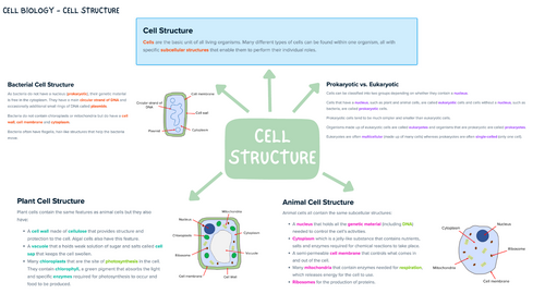 GCSE Biology (AQA) - Cell Biology Notes | Teaching Resources
