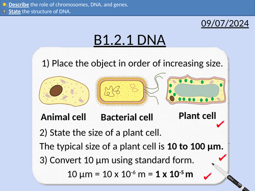 GCSE OCR Biology: B1.2 What happens in cells? | Teaching Resources