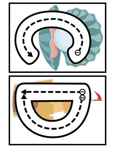 Beach Letter Tracing Cards A-Z with Upper and Lowercase | Teaching ...