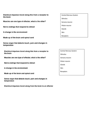 Biopsychology Lesson 1- Nervous System | Teaching Resources