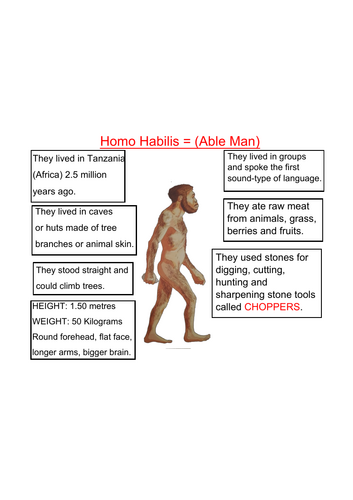 Homo Habilis, Homo Erectus, Homo Sapiens | Teaching Resources