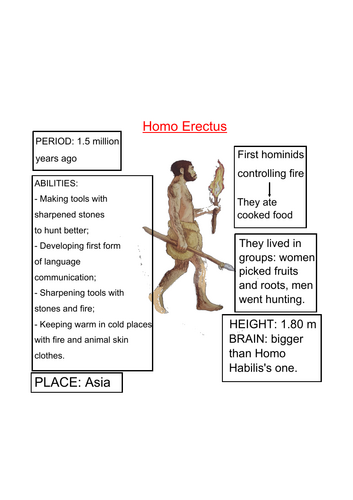 Homo Habilis, Homo Erectus, Homo Sapiens | Teaching Resources