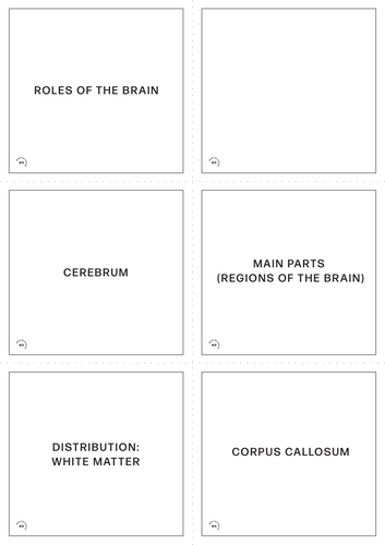 The Human Brain Flashcards - Science Educational Resource - Exam Prep ...