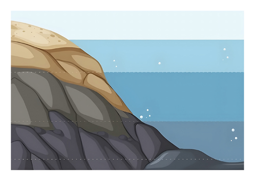 Examples of Marine Ecosystems, IAL Marine Science, Cambridge CIE 9693 ...