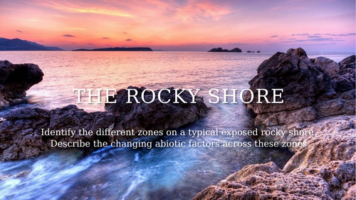 Examples of Marine Ecosystems, IAL Marine Science, Cambridge CIE 9693 ...