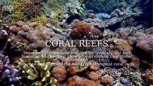 Examples of Marine Ecosystems, IAL Marine Science, Cambridge CIE 9693 ...