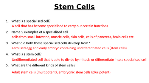 A-Level AQA Biology - Stem Cells Theory | Teaching Resources