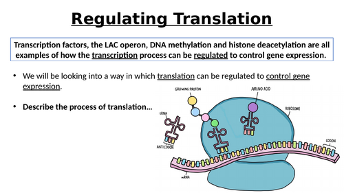 A-Level AQA Biology - Control of Gene Expression Bundle | Teaching ...
