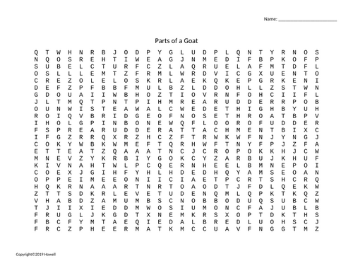 Parts of a Goat Word Search for a Livestock Ag. Course | Teaching Resources