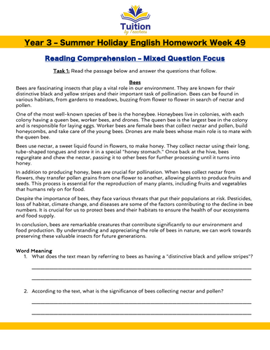 Year 3 English Summer Holiday Revision Booklet 3 | Teaching Resources