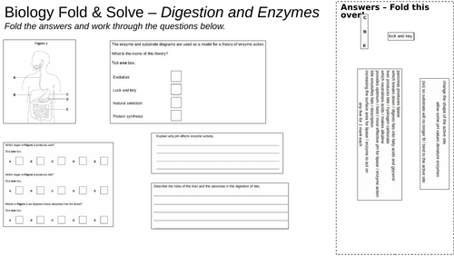 Digestion and Enzymes fold and solve exam questions | Teaching Resources