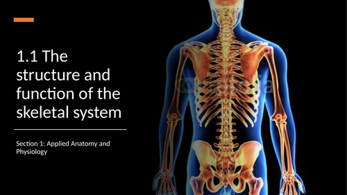 OCR GCSE PE - Paper 1 - 1.1 - Skeletal System | Teaching Resources