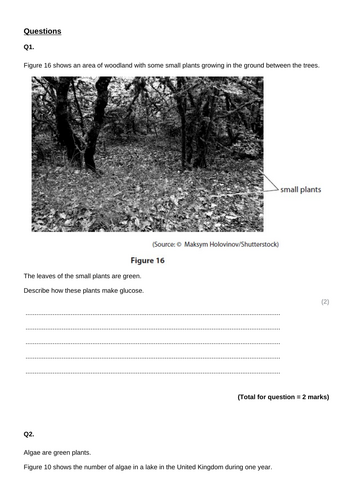 Ks3 lesson on Photosynthesis -Edexcel | Teaching Resources