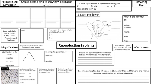 KS3 lesson on structure of a flower - Edexcel | Teaching Resources