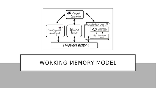 AQA AS Psychology: Memory: Working memory model | Teaching Resources