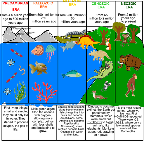 Life on Earth poster | Teaching Resources