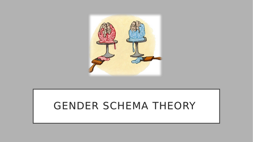 AQA A Level Psychology: Gender: Gender schema theory | Teaching Resources
