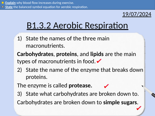 GCSE Biology: Aerobic Respiration | Teaching Resources