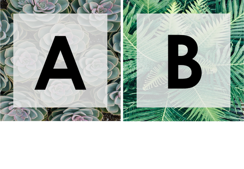 Natural Theme Capital Letter Flashcards | Teaching Resources