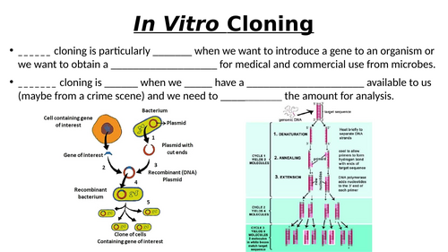 A-Level AQA Biology - In Vitro Cloning | Teaching Resources
