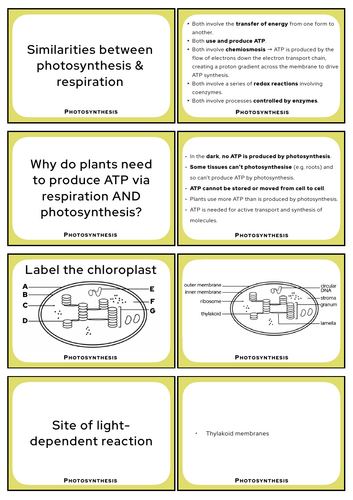 FREE SAMPLE Photosynthesis Flashcards AQA A-level Biology | Teaching ...