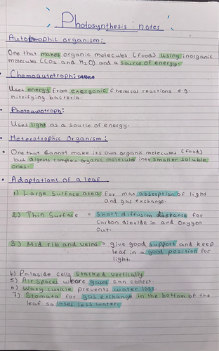 Photosynthesis A level Biology notes | Teaching Resources