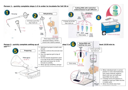 A-Level AQA Biology - Gel Electrophoresis | Teaching Resources