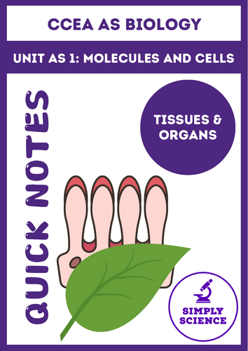CCEA AS-1 Biology Tissues and Organs Revision Notes | Teaching Resources