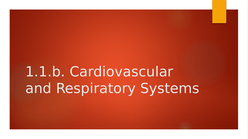 Structure of the heart lesson - A-Level | Teaching Resources