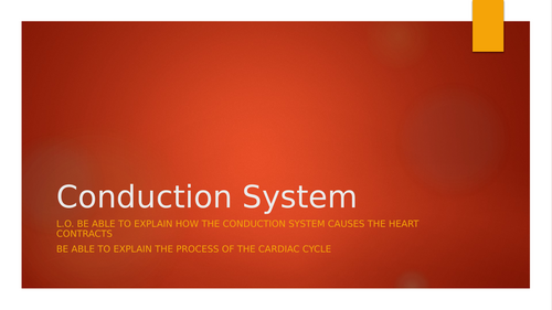 Conduction System of the Heart Lesson - A-Level | Teaching Resources