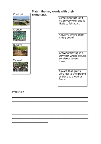 KS2 Stig of the Dump Reading activity | Teaching Resources