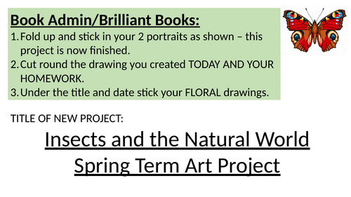 Key Stage 3 or 4 Natural Forms Project | Teaching Resources