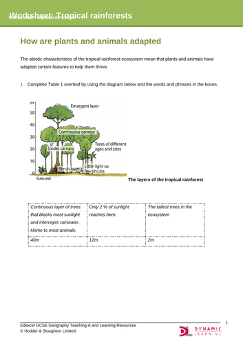 Topic 3: Ecosystems - Lesson 5 - Abiotic and Biotic Characteristics ...