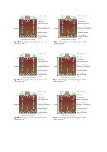 Edexcel A GCSE Geography: Topic 3 - Ecosystems, Biodiversity and ...