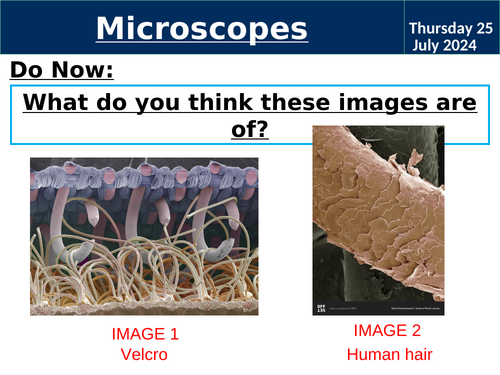 Microscopes | Teaching Resources
