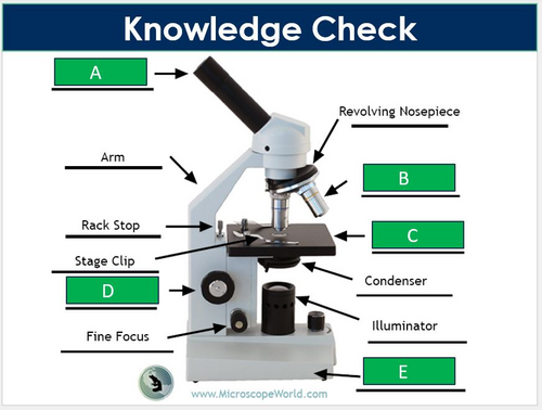 Microscopes Required Practical | Teaching Resources