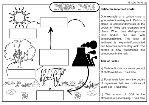 The Carbon Cycle KS3 | Teaching Resources